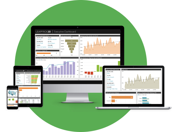 Insurance Business Intelligence Consulting | LeapFrogBI